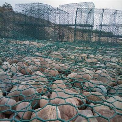 high quality pvc coated gabion mesh for riverbank protection
