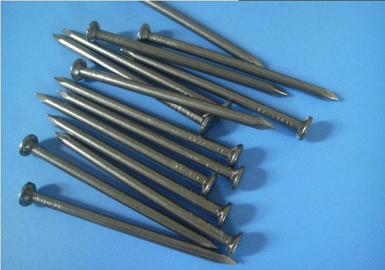 buliding material galvanized concrete nail for sale