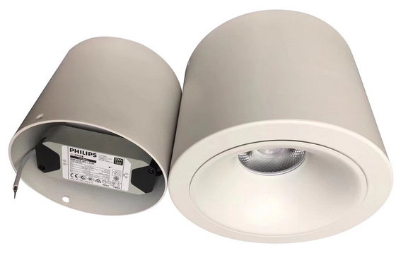 3300lm Surface Mounted Ceiling Spotlights Al Housing  Driver Cool White 40 watts For Hall