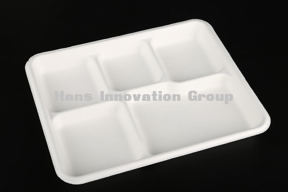Hot-Selling Bagasse food container, biodegradable disposable food container, biodegradable food container supplier