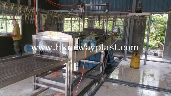 1500 Quials Per hours Slaugher killing machine Quials weight only 150-170g supplier