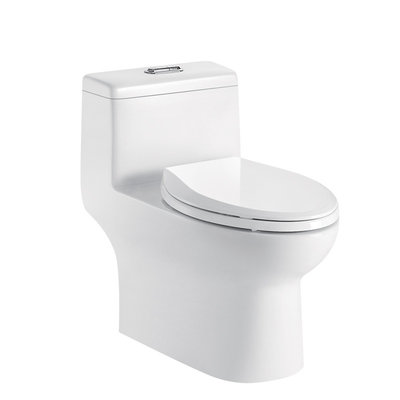 RZ-T6835 ONE PIECE TOILET