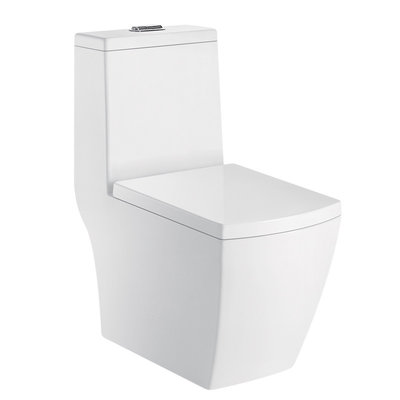 RZ-T6831 ONE PIECE TOILET