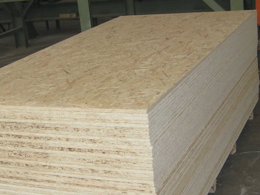 1220*2440mm Size Oriented Strand Board Eco Friendly Materials For Construction