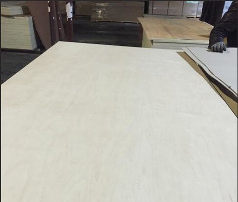 Fancy R/S White Maple Plywood 1220x2440mm Size Eco Friendly Raw Materials