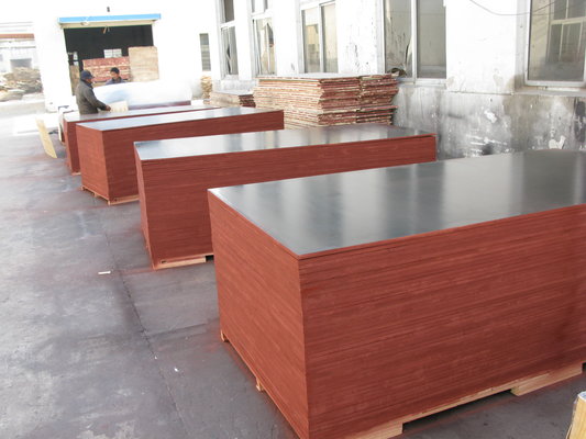 Good quality FJ plywood, Phenolic plywood, finger joint