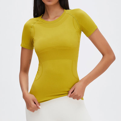 Hot sale Seamless Yoga Sports Top Basic women Activewear solid color running Breathable Fitness clothing tee shirts supplier