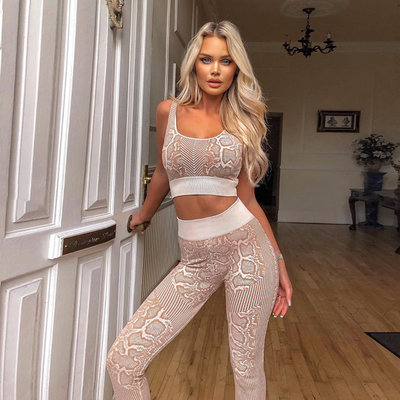 Fitness Yoga Set New Crop Top and Long Pant Athleisure Suit Gym Two Piece Set Sportswear