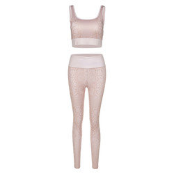 Fitness Yoga Set New Crop Top and Long Pant Athleisure Suit Gym Two Piece Set Sportswear
