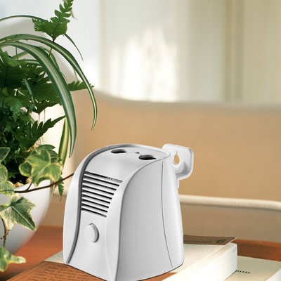 Home Dual Electronic Air Purifier With Ion And Ozone Room Air Purifier