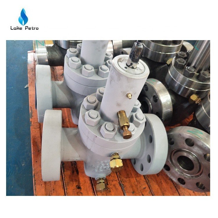 Hot Sale Cheap Factory Price API 6A High Pressure Flanged Connections Expansion Valve