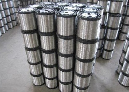 0.06mm SS Wire