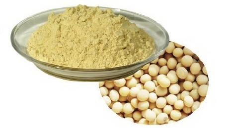 Soybean Extract、Soybean isoflavone20-40%