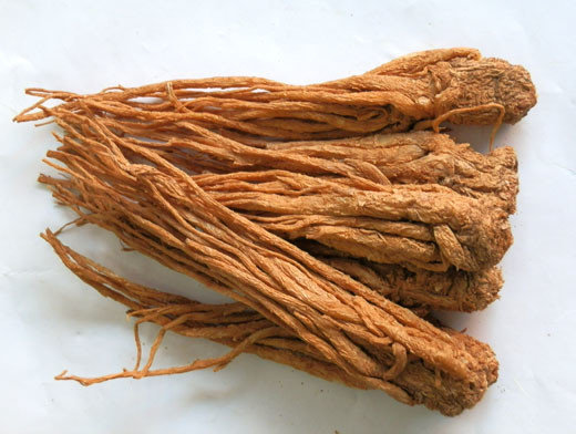 Chinese Angelica Root P.E.