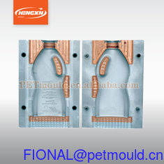 China HDPE bottle mould supplier