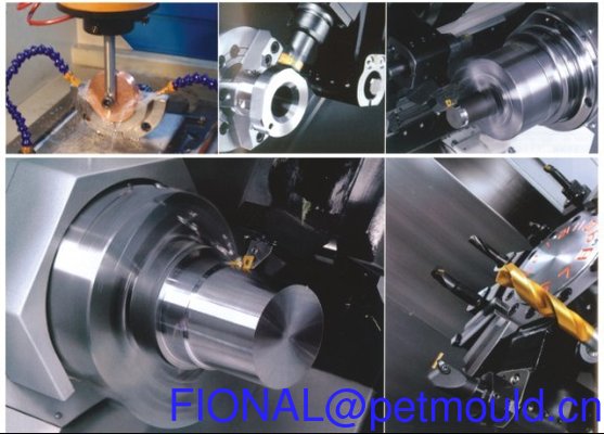 16 cavity 30mm preform mould with hot runner supplier