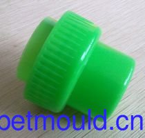 plastic cap mould supplier
