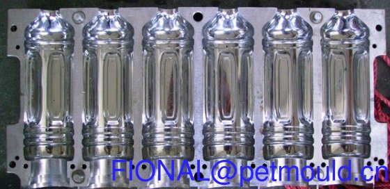 6 cavity PET bottle blowing mould supplier