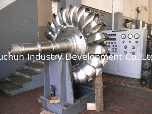 16MW 300m Head 1.6m³/s Pelton Hydro Turbine Runner Water Power Turbine