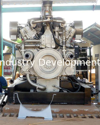 350kw Renewable Eco-friendly Agriculture Biomass Generators with Easy Operation