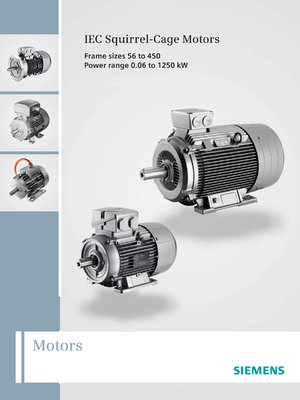ABB, SIEMENS, WEG, TECO, MATATHON, ATT, BROOK,  Three phase motor