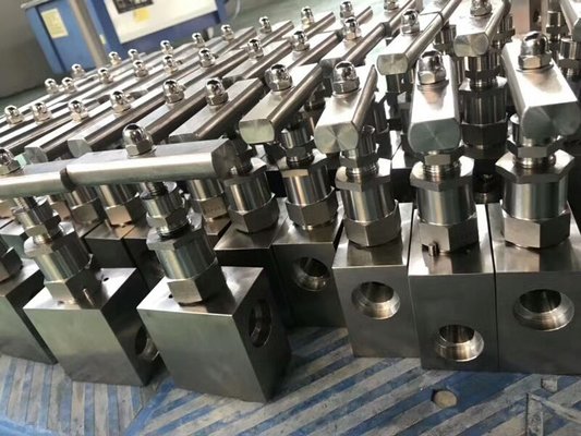 Needle valve Manifolds