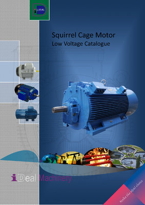 YIE3 low vlotage motor