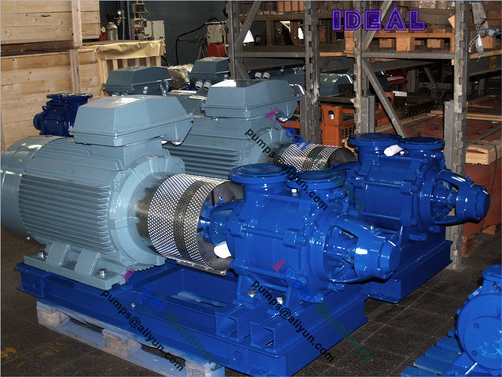 Delivery 015  4. IDL	Ideal Horizontal Vertical Multistage Pump