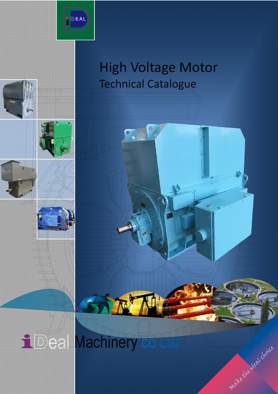 iDeal TECO, MATATHON, ATT, BROOK,  Three phase motor  high voltage