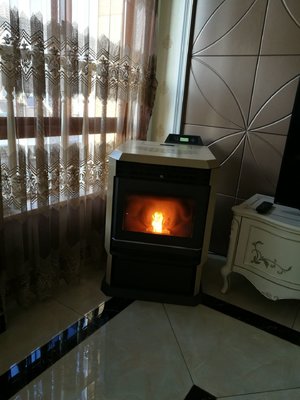 Well Designed Wood Burning Pellet Stove Big Window View Smart Control