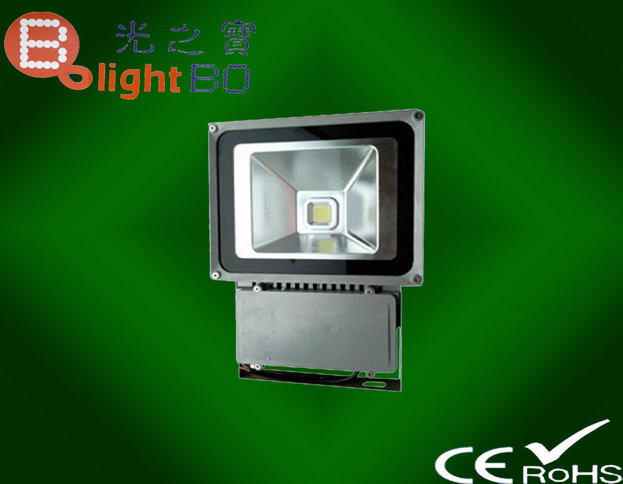 Monochromatic Bright Waterproof LED Flood Lights IP67 for Garden 6000K