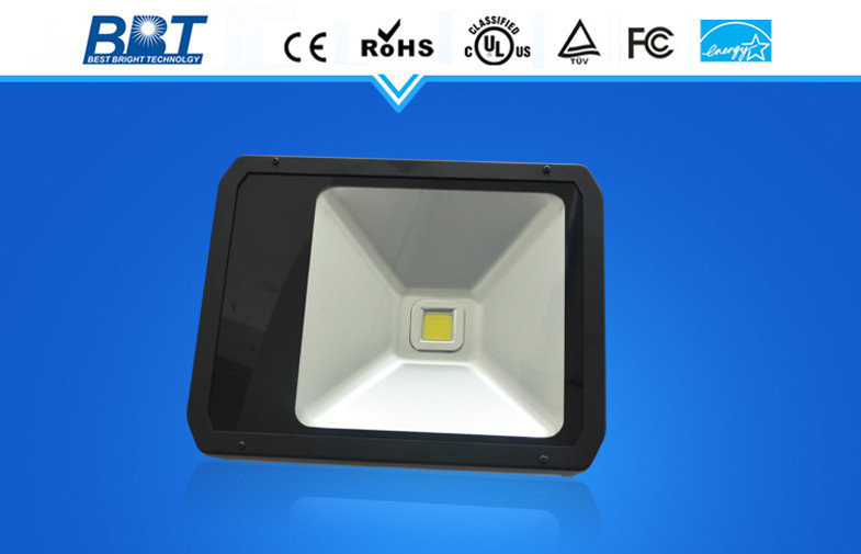 80w High Power Led Floodlight 3150lm BXCD COB Bridgelux LED