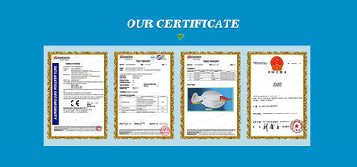 Shenzhen IHOME Inflatables Co., Ltd.