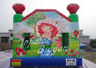 Inflatables Commercial Jumping Bounce Houses , 100lbs - 600lbs Inflatable Fun For Kids
