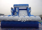 Dolphin Slip Double Kids Inflatable Slides