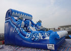 Dolphin Slip Double Kids Inflatable Slides