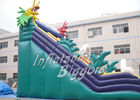 Kindergarten Commercial Kids Inflatable Slides Game Dragon , Fire-Resistant
