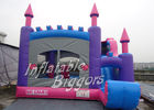 Playground Slides Bouncy House Castle Blue For Commercial , Princess Inflatables