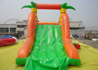 Commercial Inflatable Bouncer With Slide PVC Colourful Inflatable Jumping Castle
