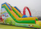 Amusement Park Kids Inflatable Slides , Angry Birds Inflatable Dry Slides