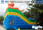 Jellyfish Kids Inflatable Slides Children Inflatable Water Park Water Slide With Blower