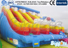 Rainbow Inflatable Water Slide And Water Pool , Inflatable Water Park For Adults