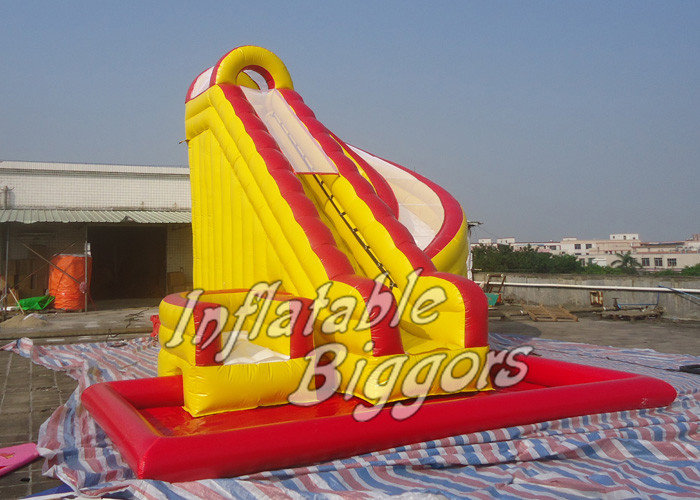 Custom Inflatable Adult Water Slide With Swimming Pool , Inflatable Combo Water Slide