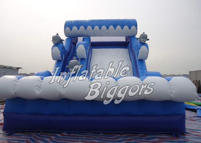 Dolphin Slip Double Kids Inflatable Slides