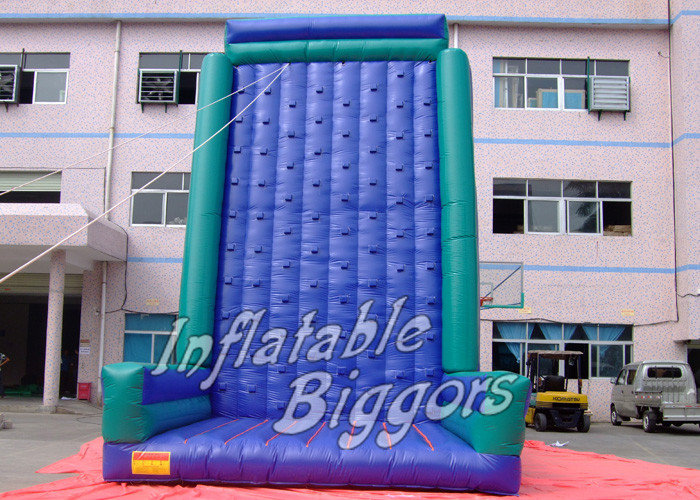 Adult Inflatable Climbing Wall