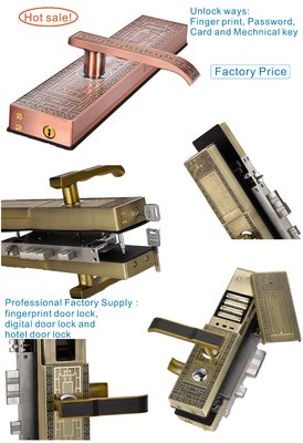 Hailanjia golden zinc alloy fingerprint password lock manufacturer since 2005