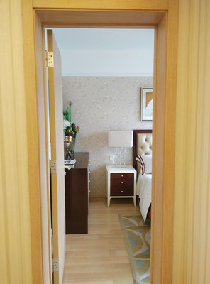 3D Wardrobe Door Steel Butt Butterfly Adjustable Door Hinges 175 Degree