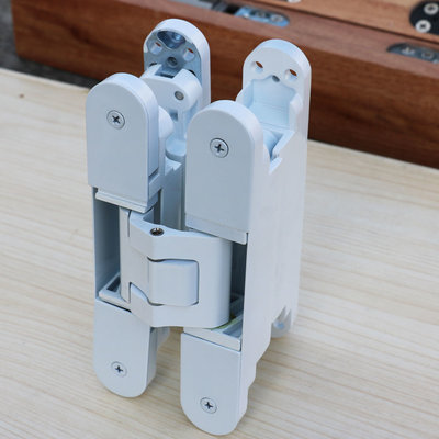 zama hidden doors hinges adjust invisible hinge