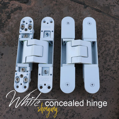zama hidden doors hinges adjust invisible hinge