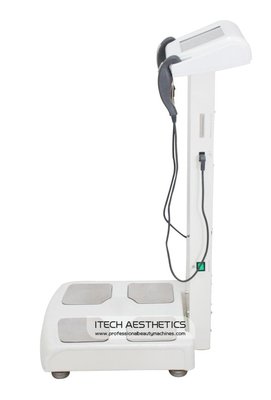 High Precision  Body Composition Analyzer For Weight / Body Fat / Moisture